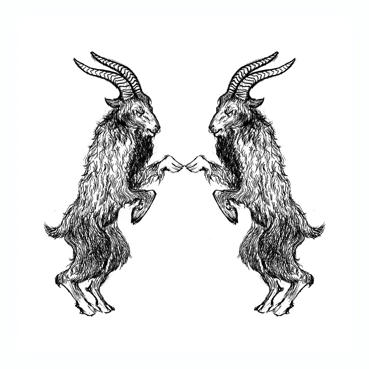 Moon Goats Art Print - Black & Bone | Wolf Wytch