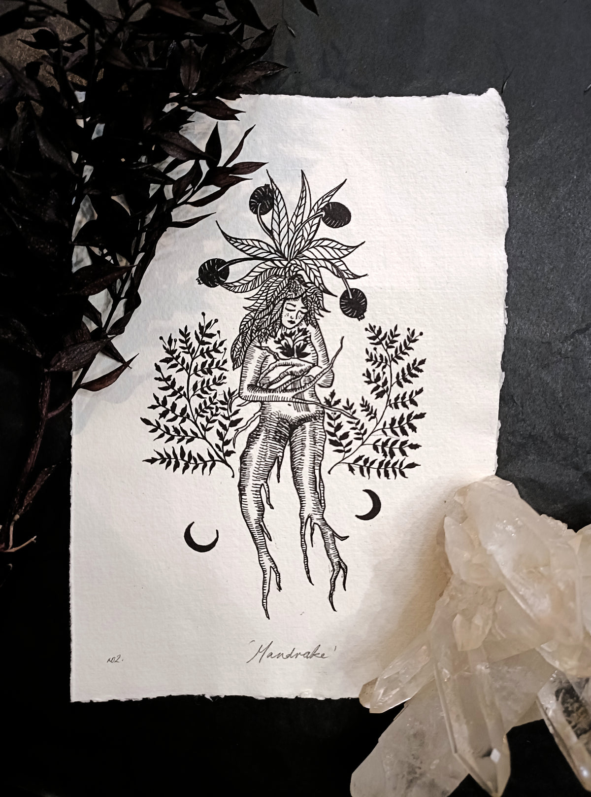 Mandrake Art Print - Black & Bone | Wolf Wytch