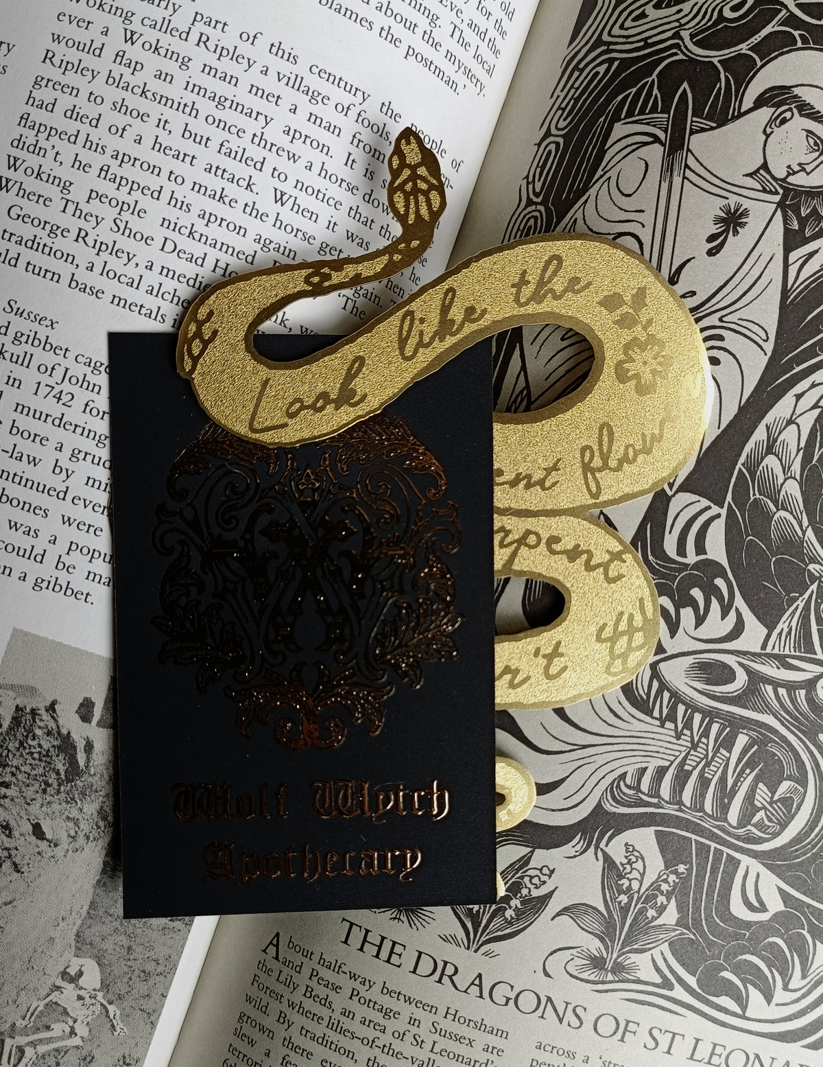 Lady Macbeth Serpent Brass Bookmark | Wolf Wytch